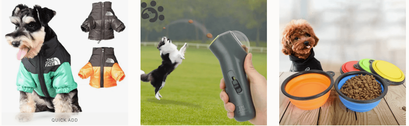 The Ultimate Guide to Pet Accessories for Dogs and Cats in 2024: Trend ...